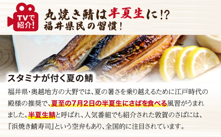 [007-a003_A] 【越前若狭名物】丸ごと浜焼きさば 2本入り 肉厚食べ応え抜群！＜数量限定＞【魚介類 鯖 焼き鯖 さば おつまみ 酒の肴】 | 福井県敦賀市 | ふるさと納税サイト「ふるなび」