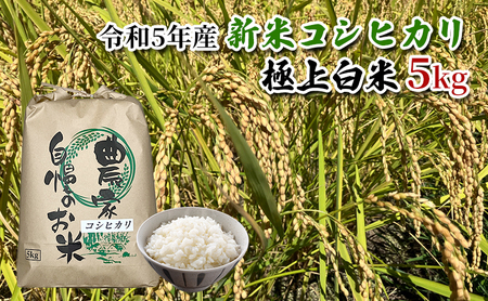 【農家直送/令和5年産新米】長野県産「コシヒカリ」（5kg）（炊飯食味値88点の極上白米） | 長野県駒ヶ根市 | ふるさと納税サイト「ふるなび」
