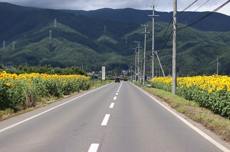 2406長野県産りんご（ぐんま名月）5kg | 長野県山形村 | ふるさと納税サイト「ふるなび」