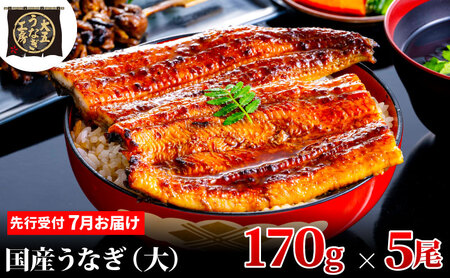 先行受付 【7月上旬配送】 うなぎ蒲焼 170g×5尾(850g) うなぎ 鰻 蒲焼 蒲焼き 大五通商 静岡 島田市 | 静岡県島田市 | ふるさと納税サイト「ふるなび」