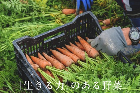 【フードロス対応・規格外野菜利用】有機野菜 シェフLセット オーガニック野菜 1回 6902 | 静岡県掛川市 | ふるさと納税サイト「ふるなび」