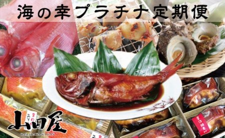 伊豆半島 海の幸 プラチナ 定期便 2回 E005／山田屋海産 産直 稲取 キンメ 静岡県 東伊豆町 | 静岡県東伊豆町 | ふるさと納税サイト「ふるなび」